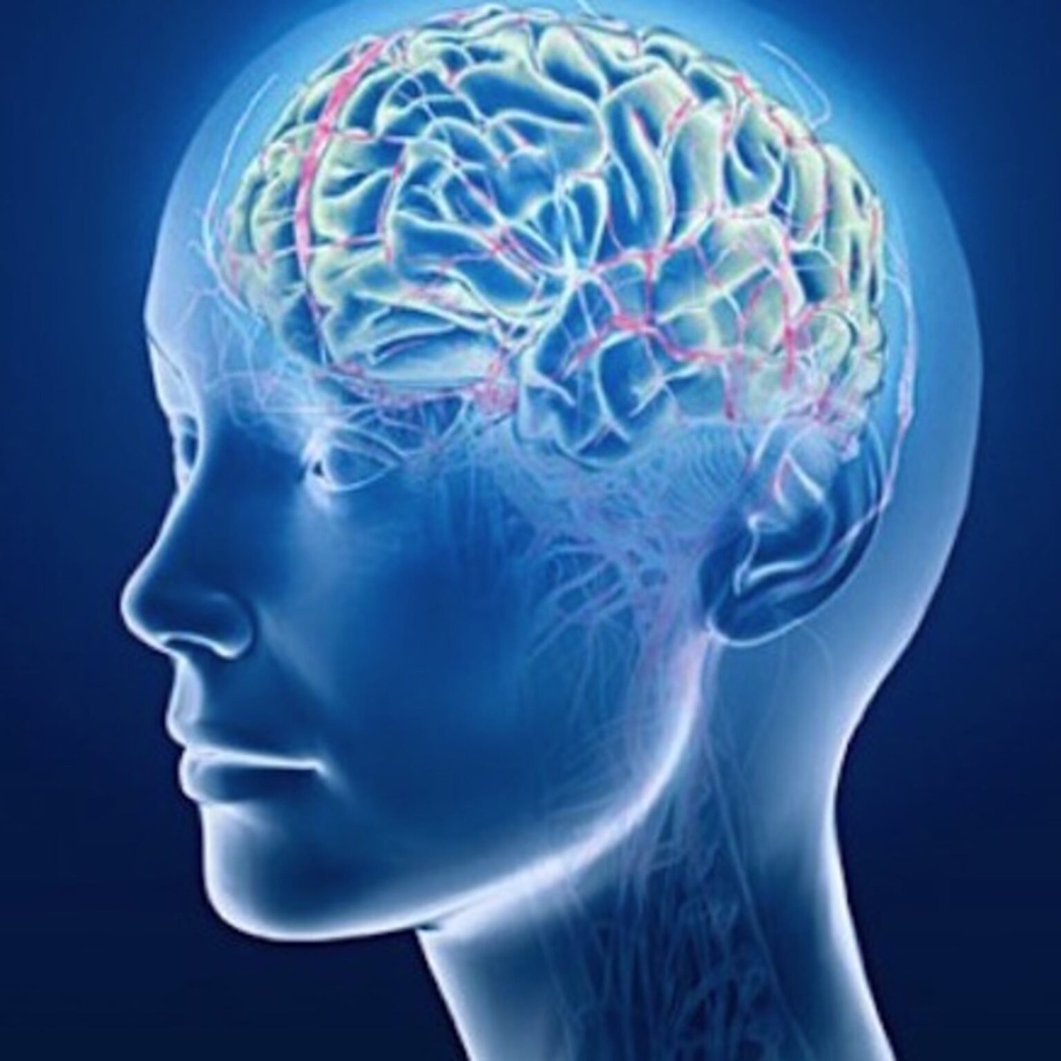 Neurological effects of ghrelin | NuLife Sciences