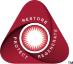 Endocalyx Pro Vascular Health/Anti-Aging Supplement | NuLife Sciences